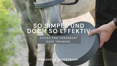 Premium Balance Pad Horse - recommended by horse experts!